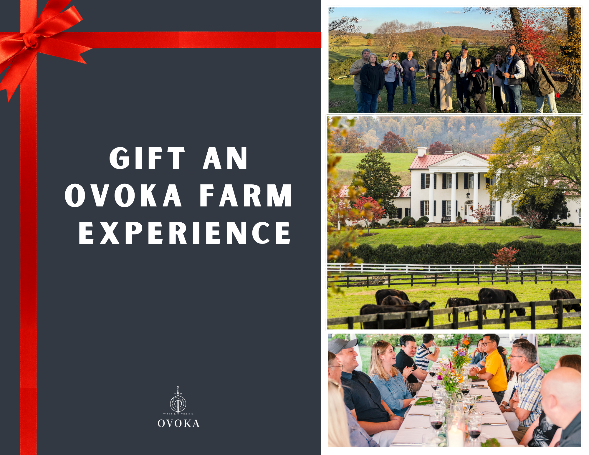 Farm Tours | Ovoka Farm - Virginia Wagyu Beef