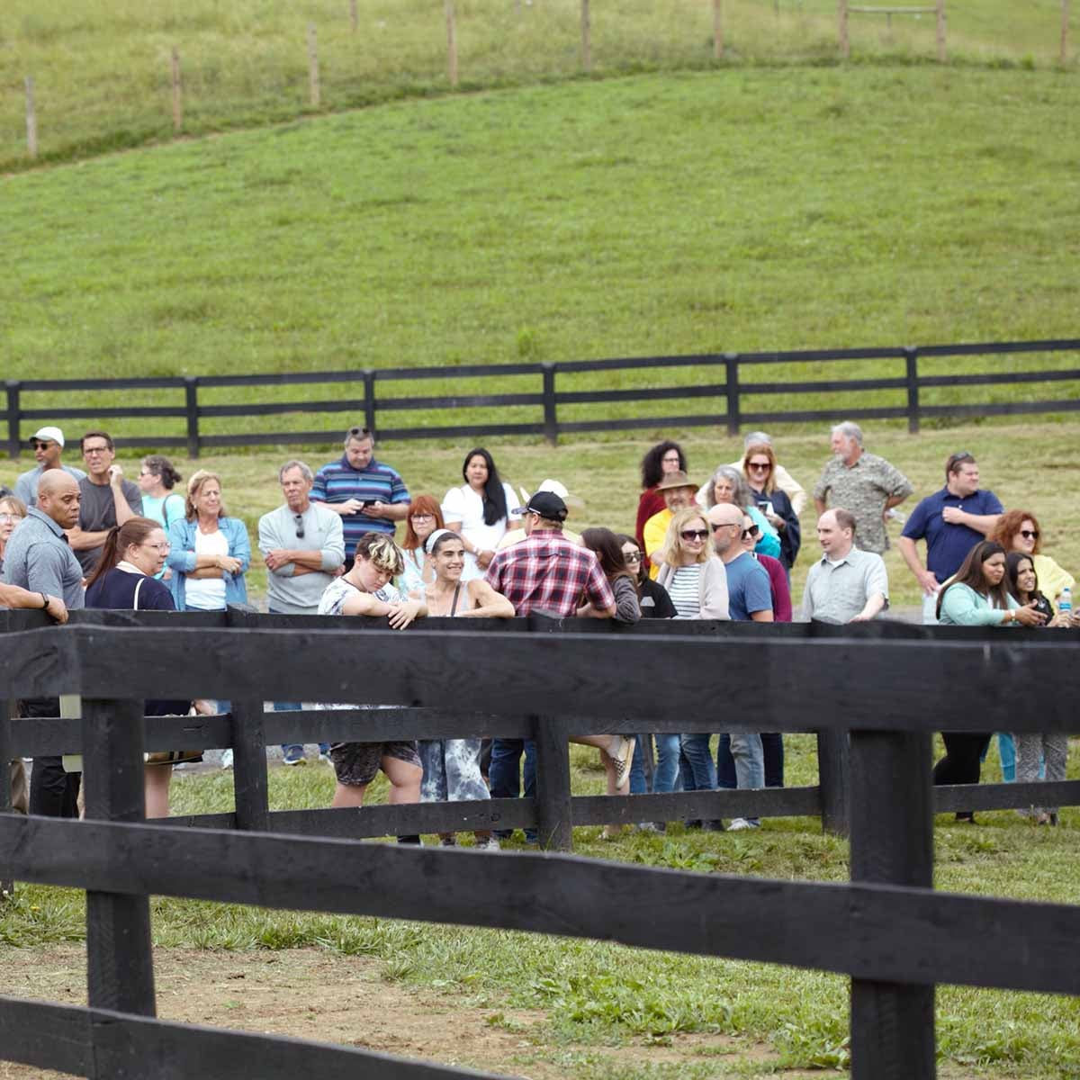 Farm Tours | Ovoka Farm - Virginia Wagyu Beef